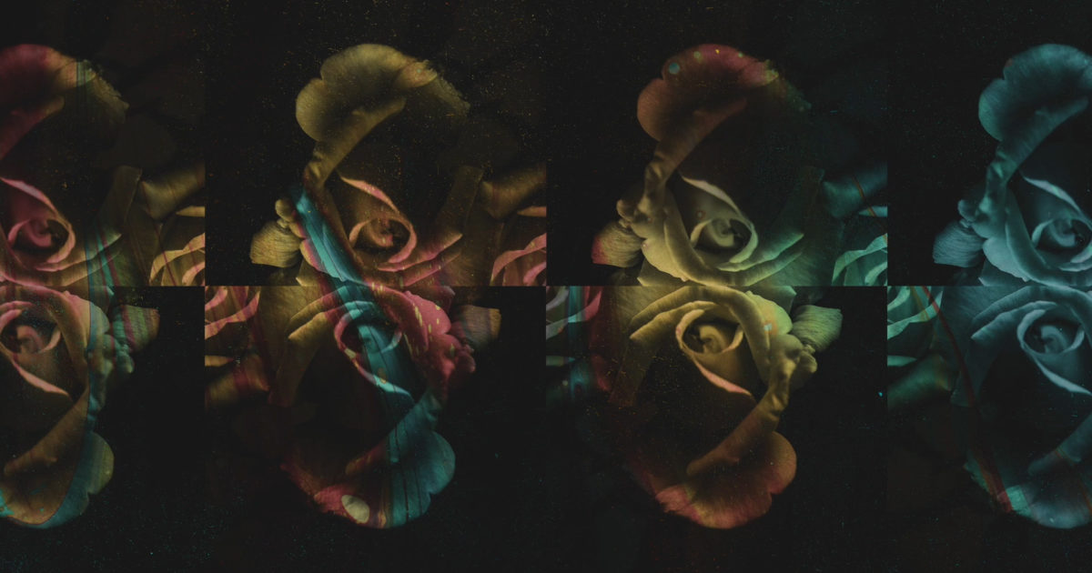 Abstract Nature 04 | Still Background