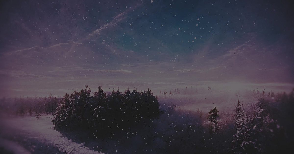 Another Winter Journey Solitude Forest Alt Still | Still Background