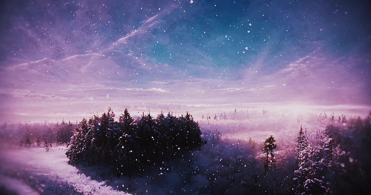 Another Winter Journey Solitude Forest Still | Still Background
