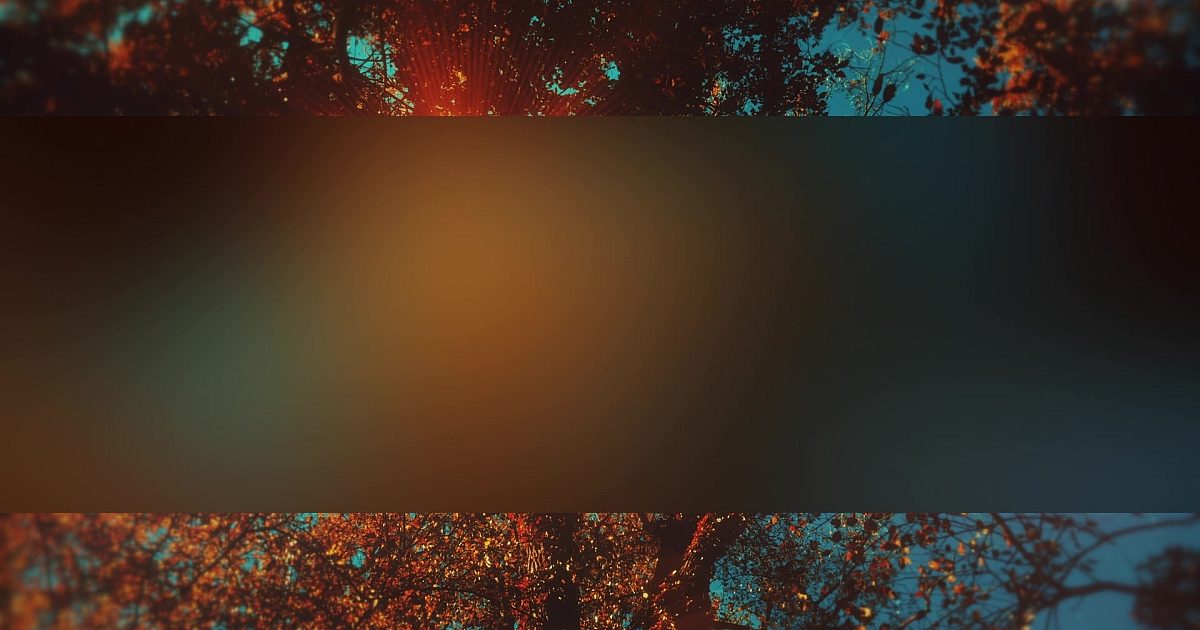 Autumn Canopies 1 Bar Still | Still Background