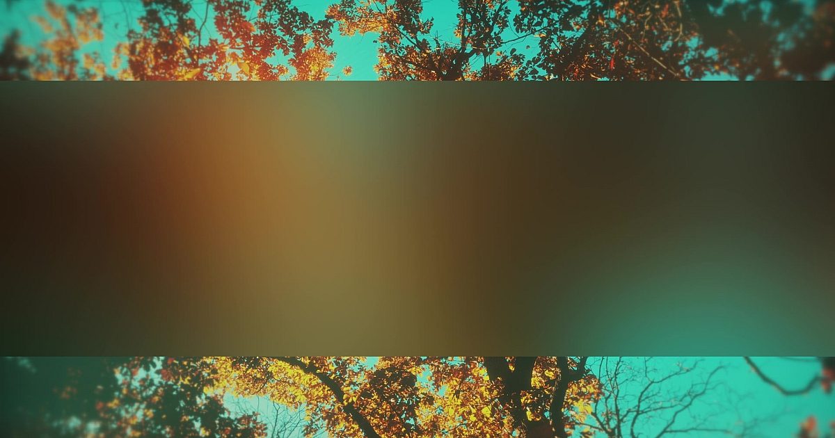 Autumn Canopies 3 Bar Still | Still Background