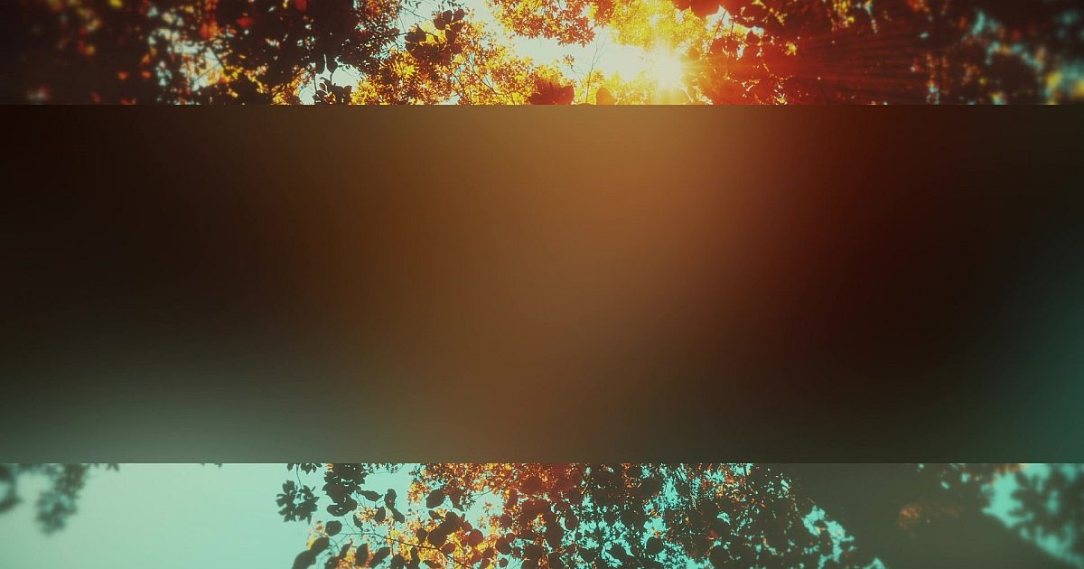 Autumn Canopies 8 Bar Still | Still Background