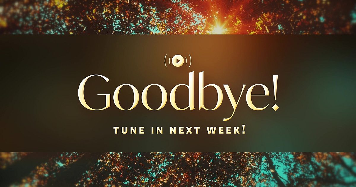 Autumn Canopies Exit Stream Still | Still Background