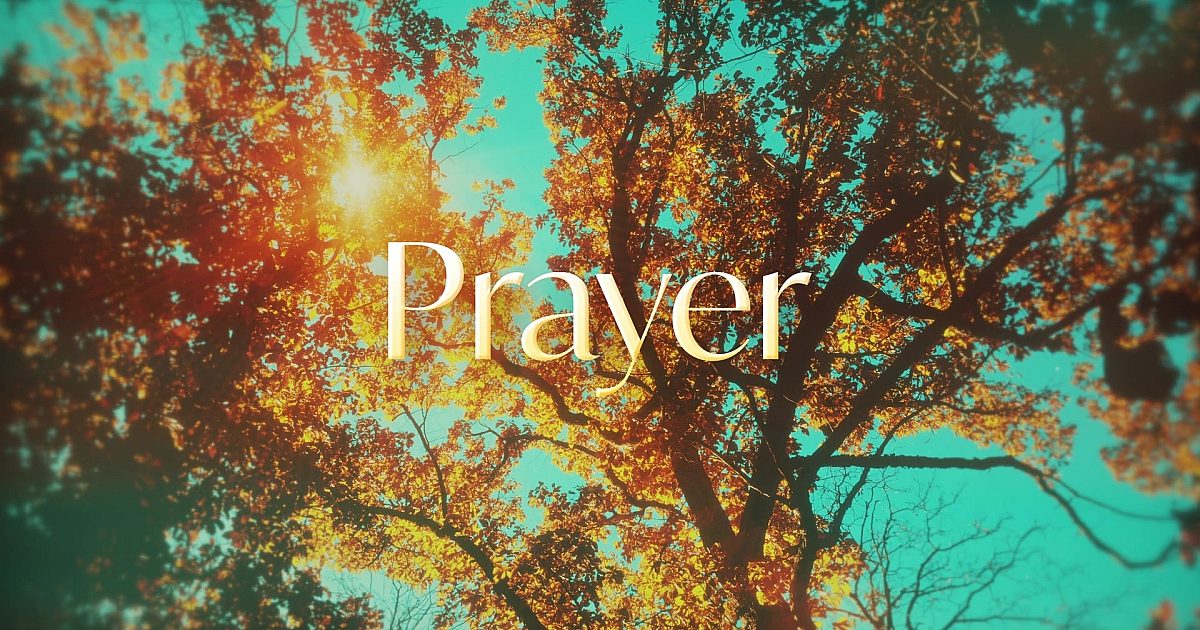 Autumn Canopies Prayer Still | Still Background