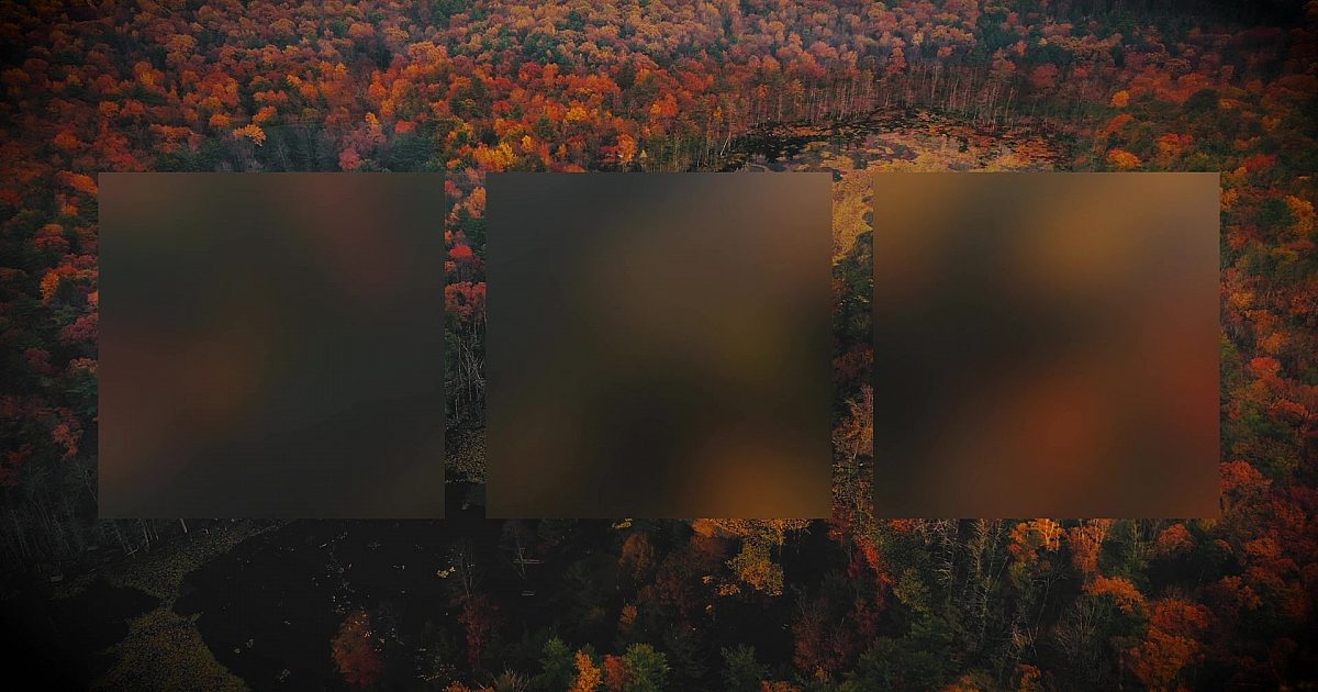 Autumn Colors Burst Alt Still | Still Background