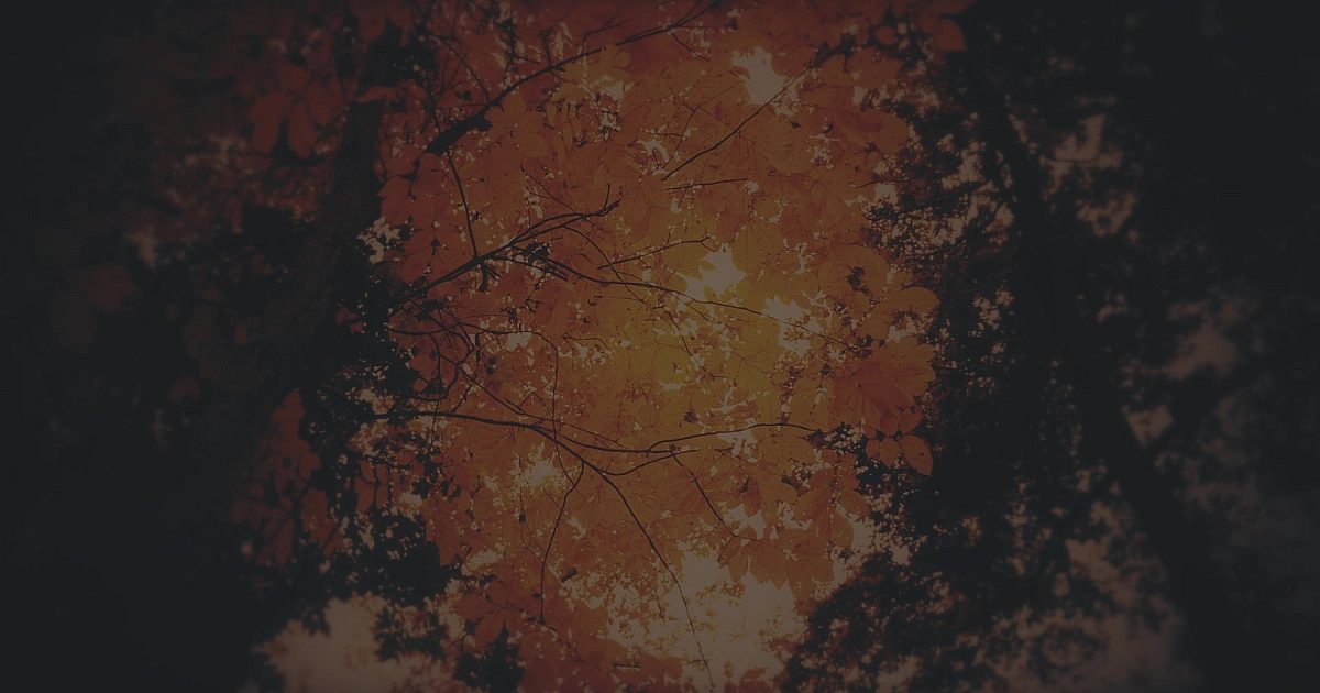 Autumn Fire Embers Subdued Still | Still Background