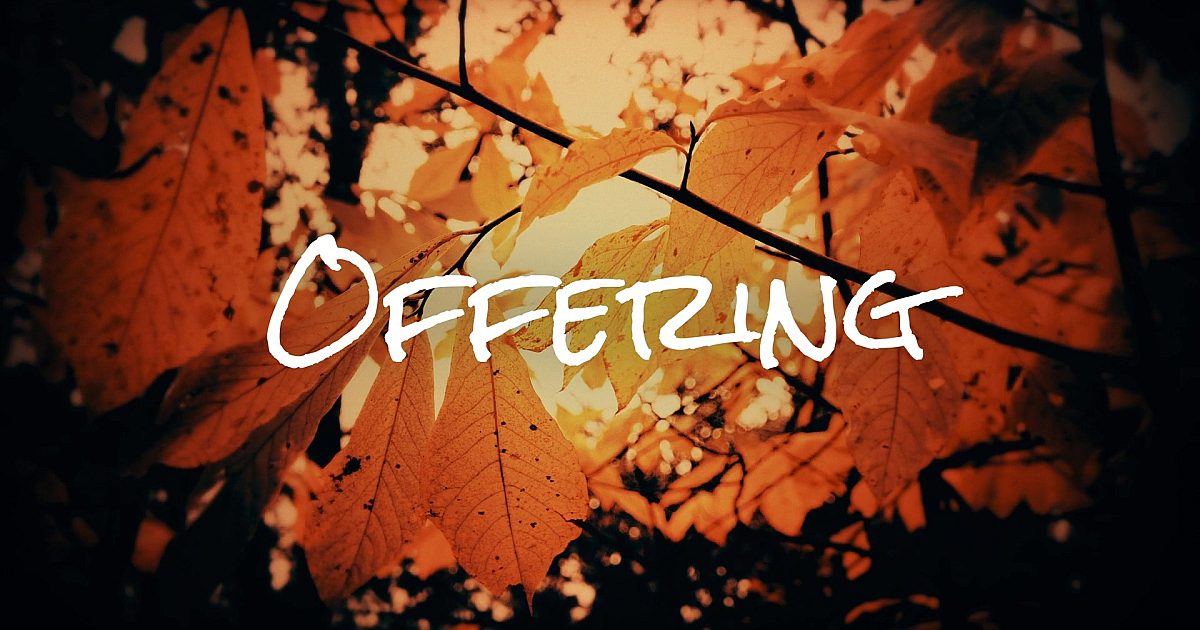 Autumn Fire Offering Still | Still Background