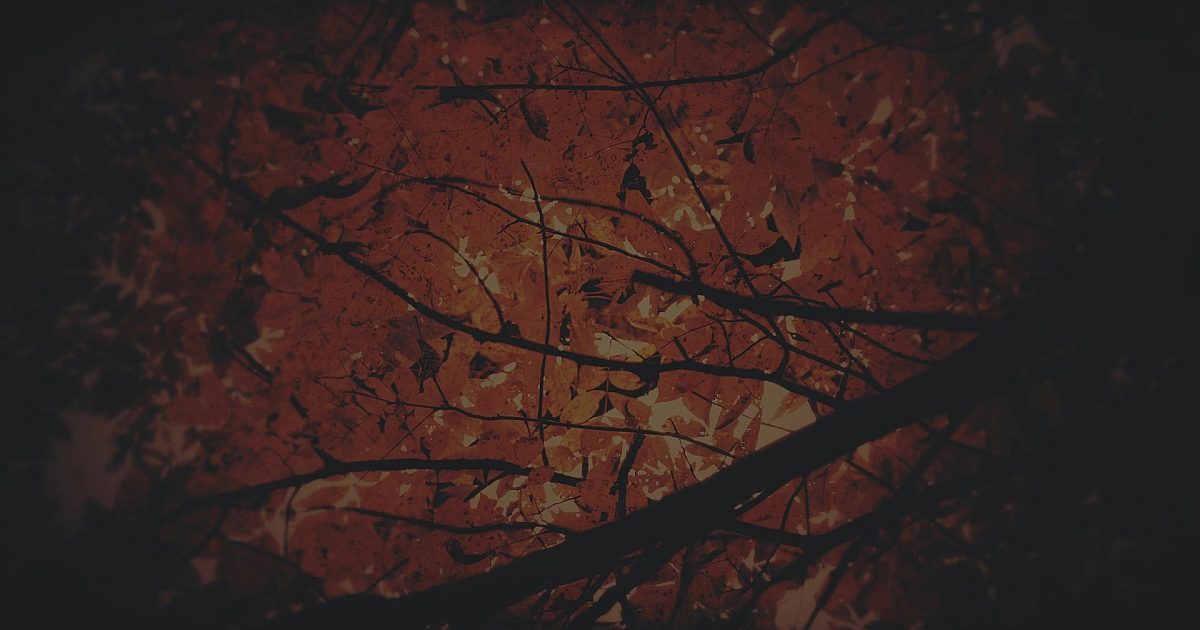 Autumn Fire Smelter Subdued Still | Still Background