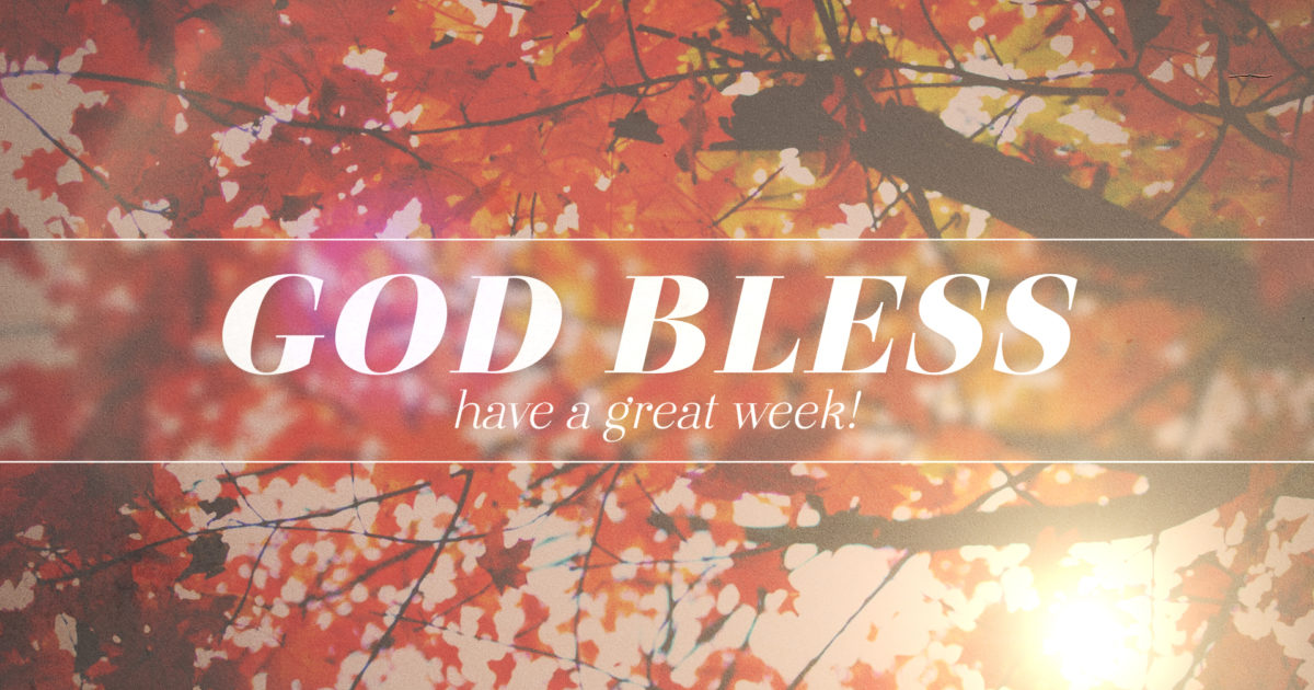 Autumn Light Closing | Still Background