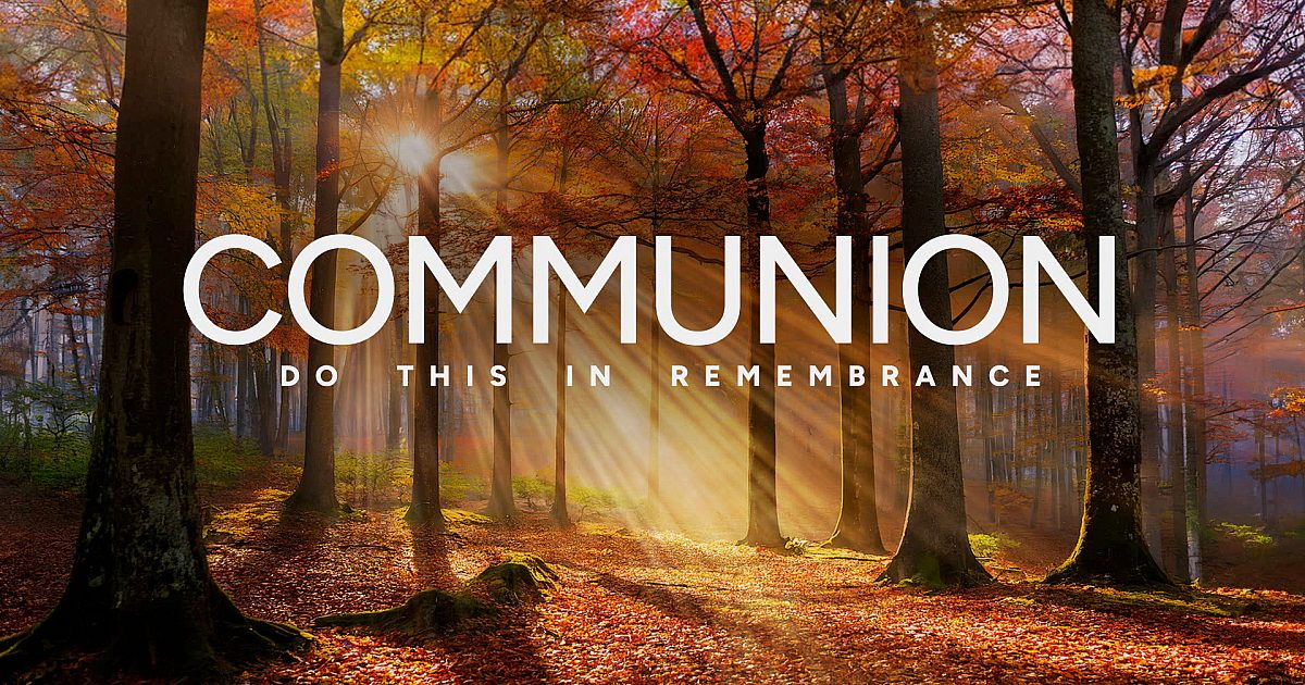Autumn Light Communion Still | Still Background