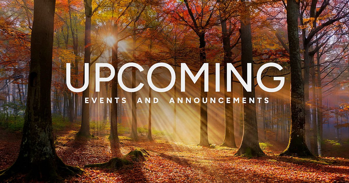 Autumn Light Upcoming Still | Still Background