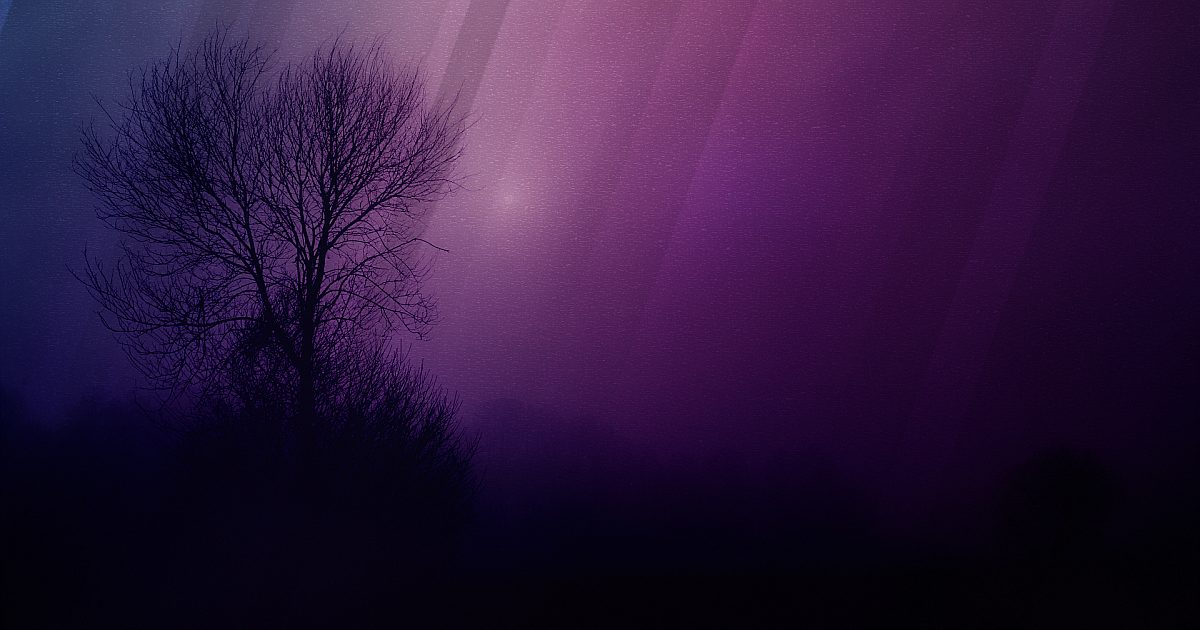 Autumn Mist 8 Still | Still Background