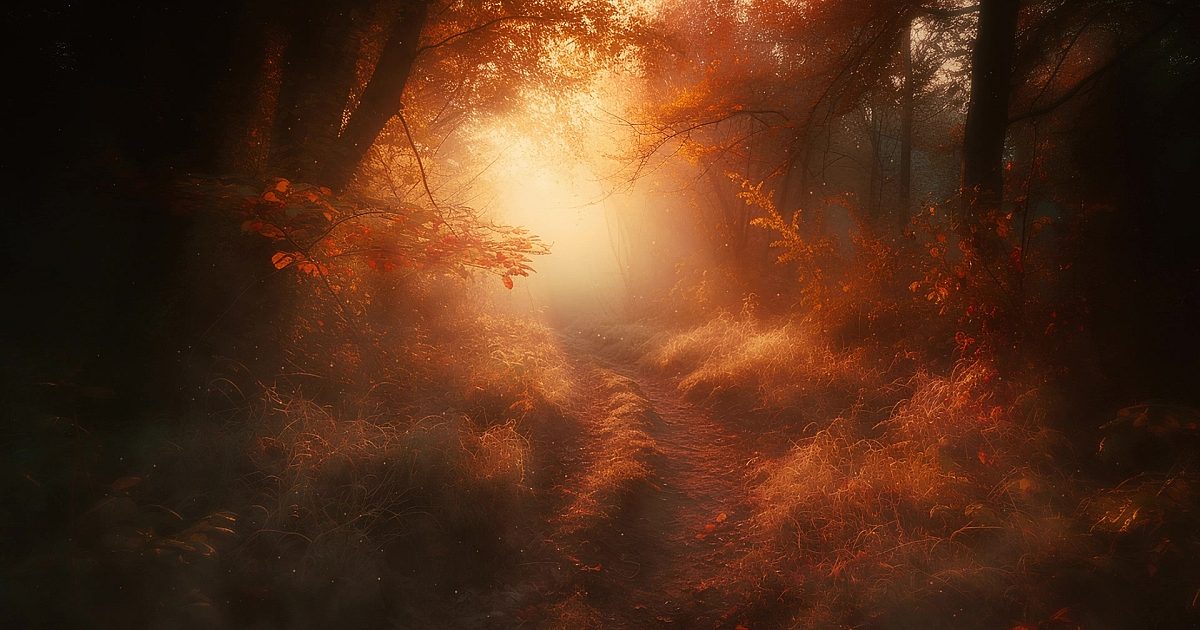 Autumn Path 2 Still | Still Background