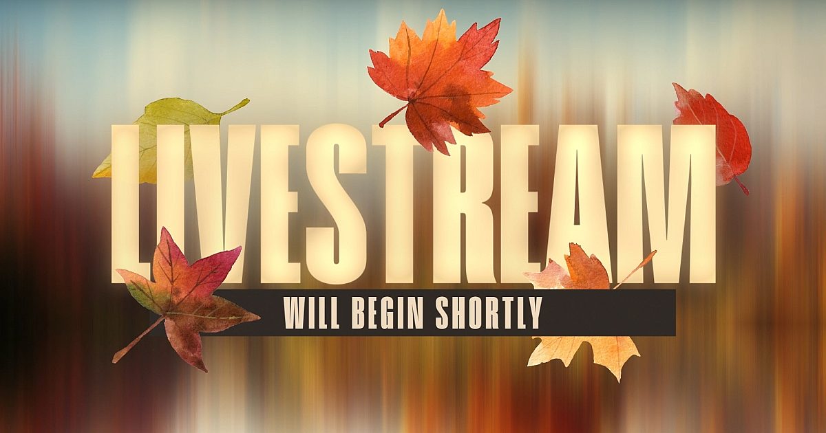 Autumnscape Livestream Graphic | Still Background