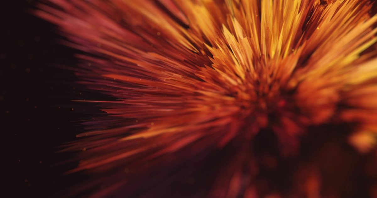 Beautiful Disruption Flower Still | Still Background