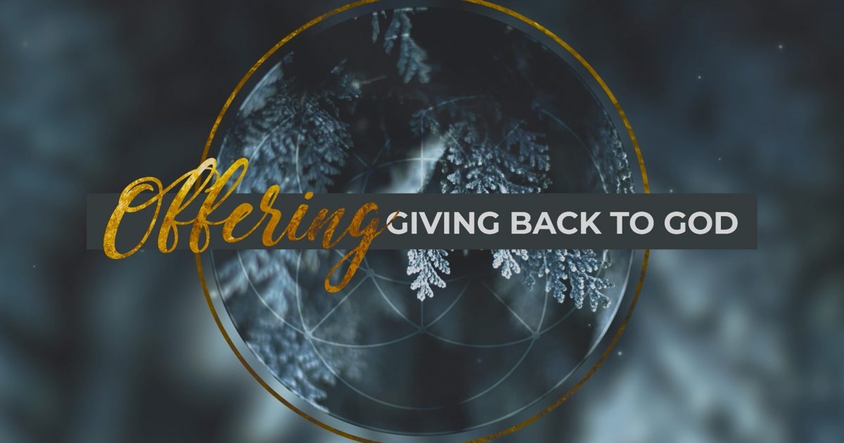 Beautiful Winter Offering Graphic | Still Background