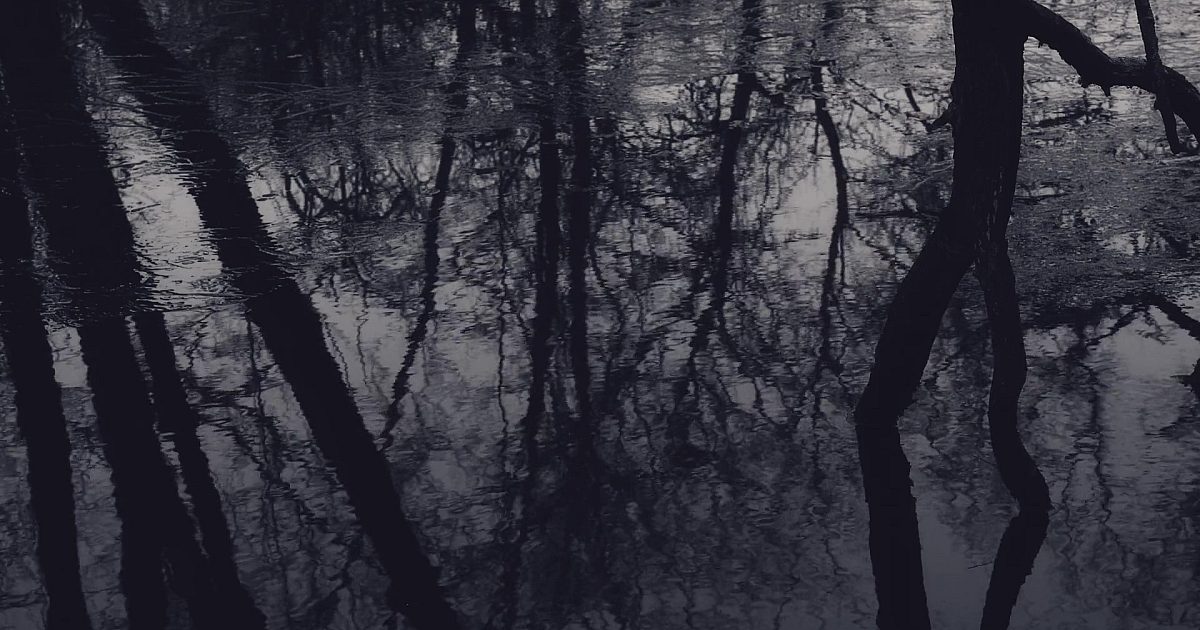 Bleak Beauty Dark Fade Still | Still Background