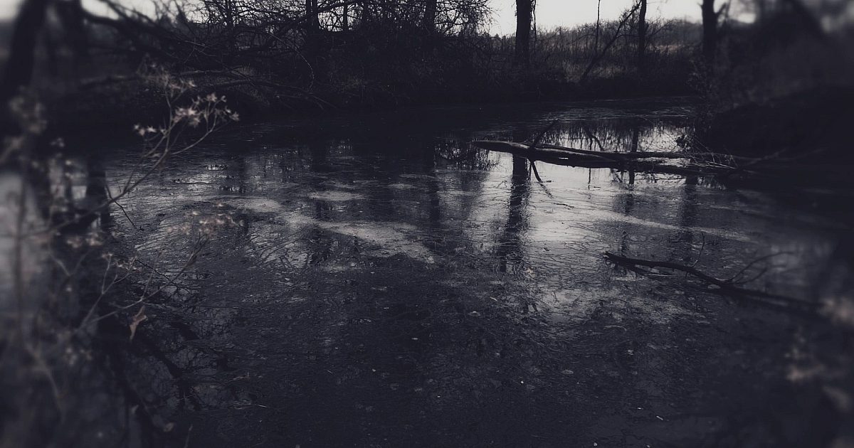 Bleak Beauty Frozen Still | Still Background