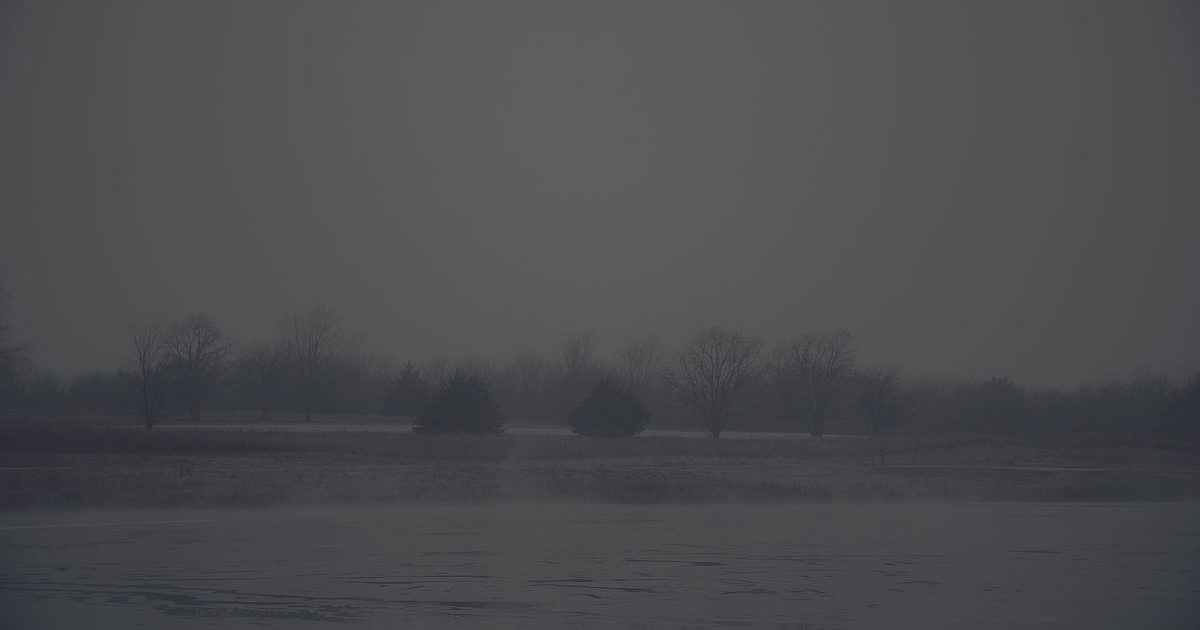 Bleak Beauty Mist Fade Still | Still Background