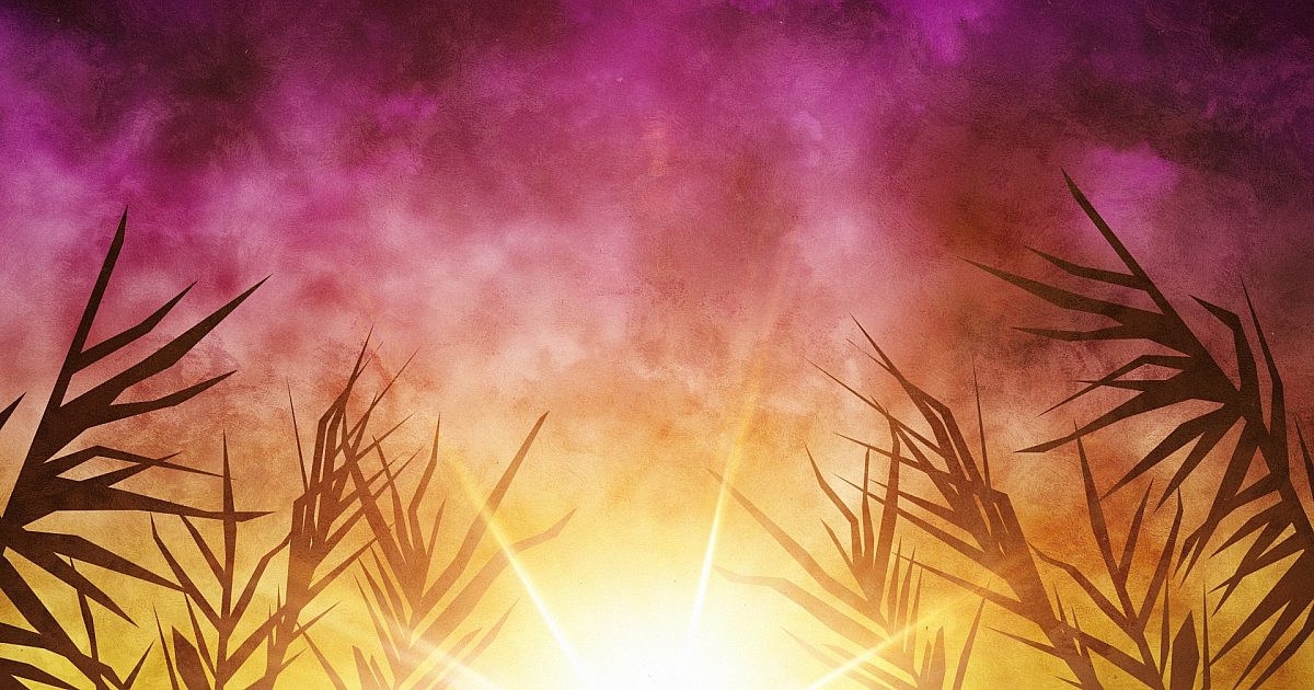 Bright Palm Sunday 01 | Still Background