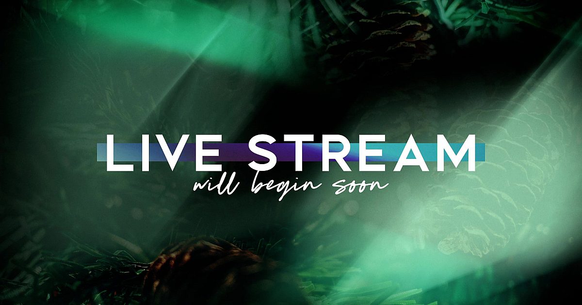 Christmas Light Live Stream Still | Still Background