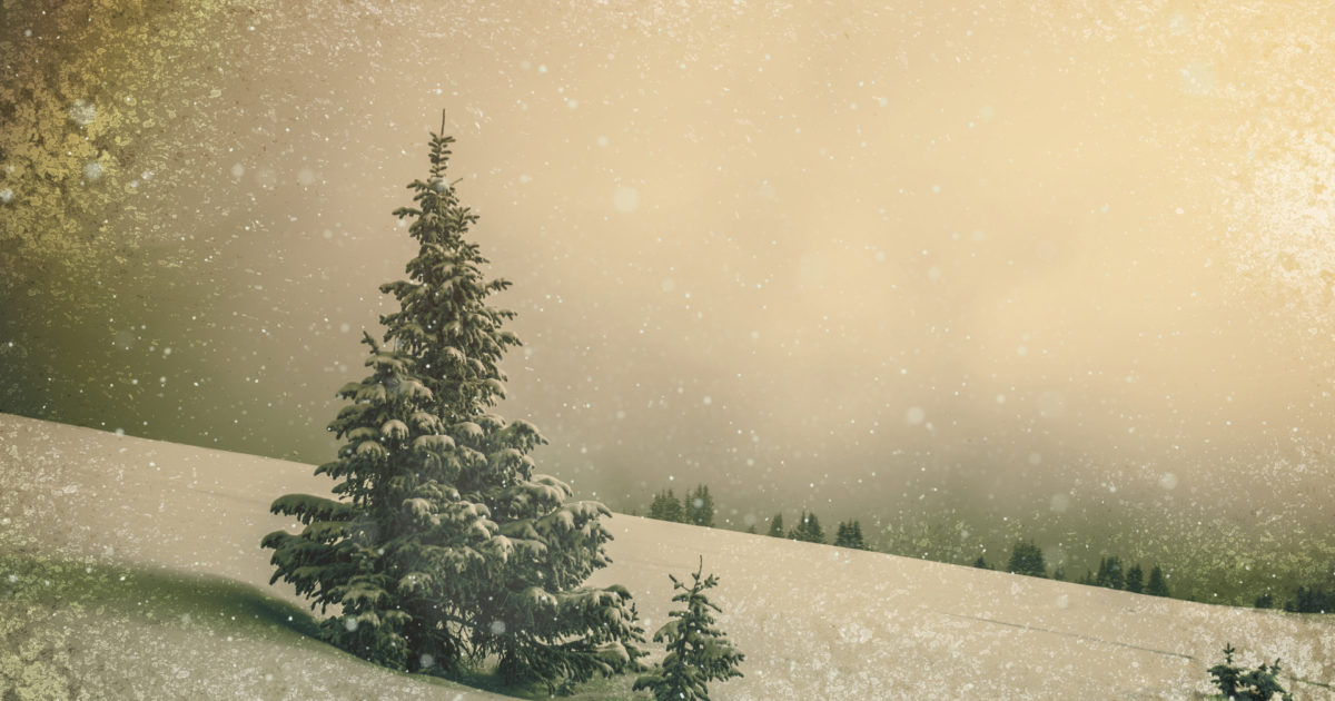 Christmas Cheer Tree Still | Still Background