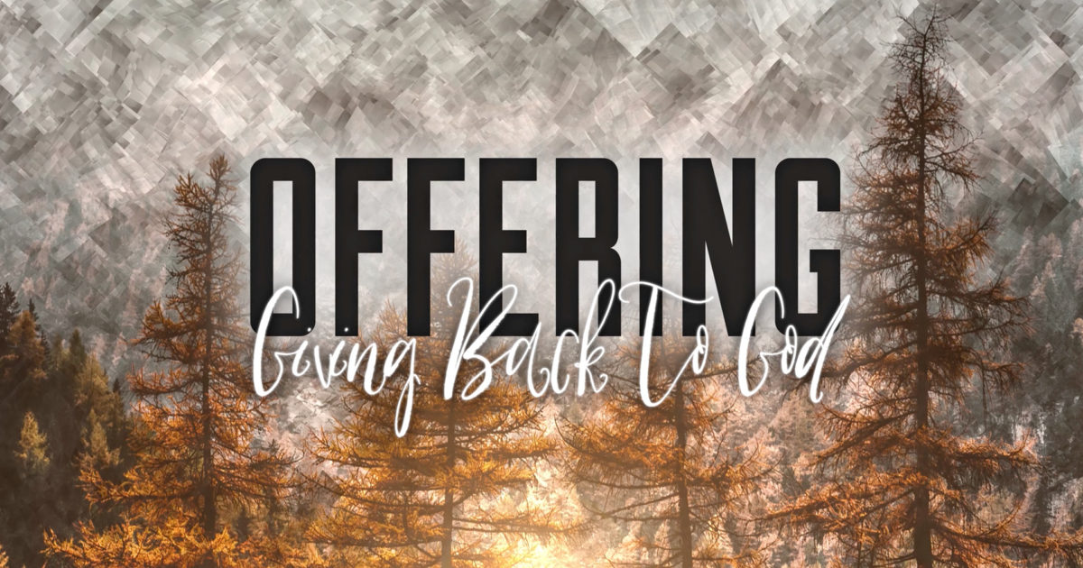 Colorful Fall Offering | Still Background