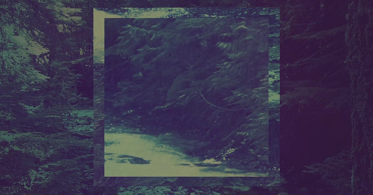 Creation Sings 4 Still | Still Background