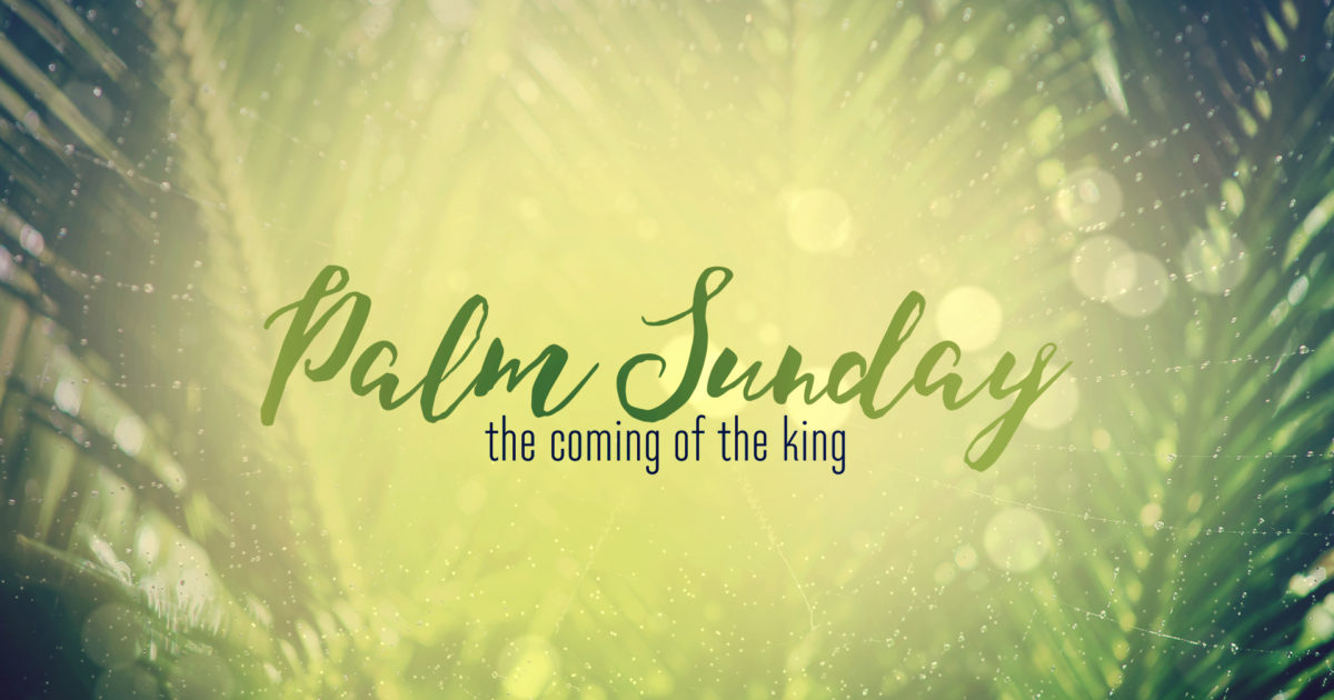 Easter Week Palm Sunday Still | Still Background