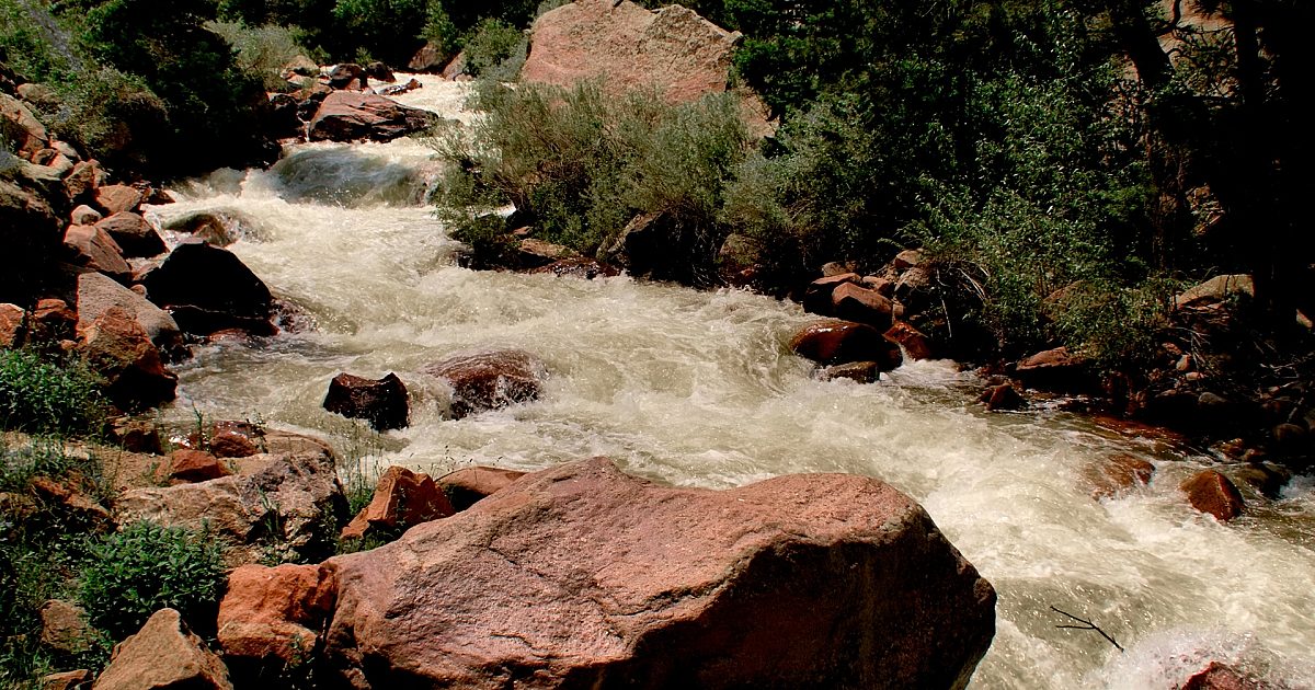 El Dorado 15 Still | Still Background