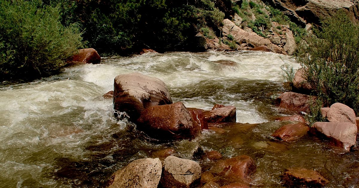 El Dorado 17 Still | Still Background