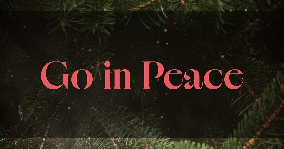 Evergreen Exit Still | Still Background