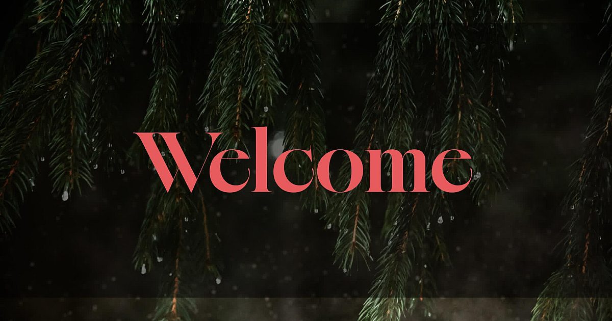 Evergreen Welcome Still | Still Background