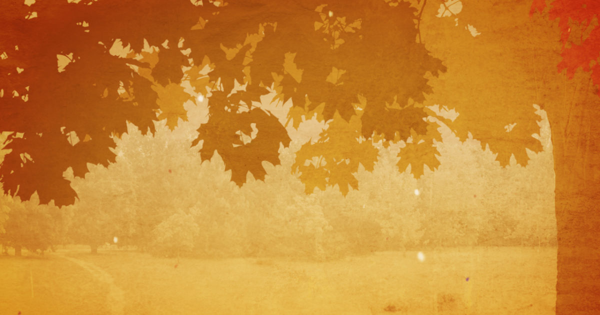 Fall Colors 02 Background