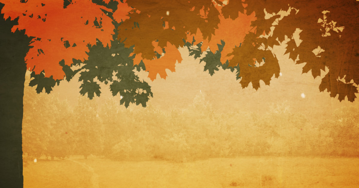 Fall Colors 04 | Still Background