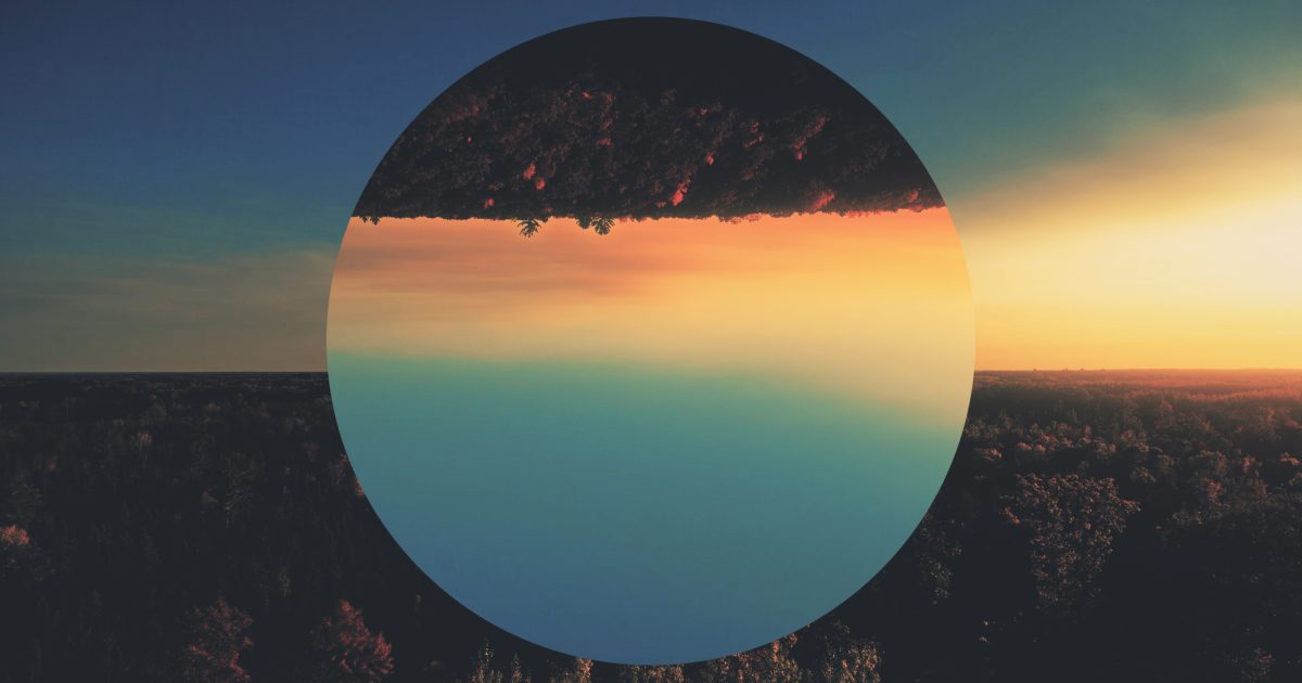 Fall Foliage Remixed 01 Still | Still Background