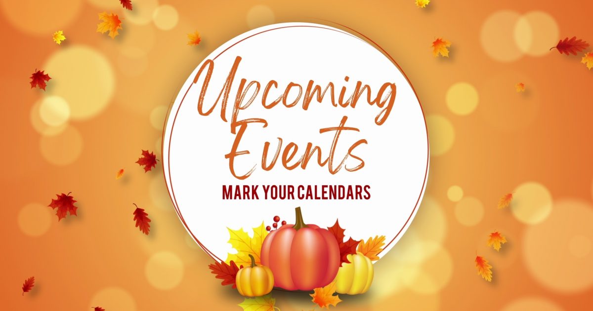 Fall Upcoming Vol 6 | Still Background