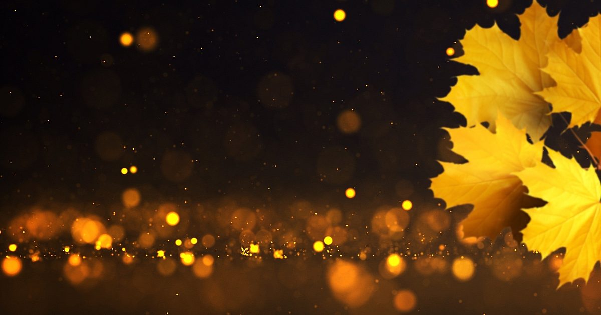 Fall Vol 1 Worship Still 02 | Still Background