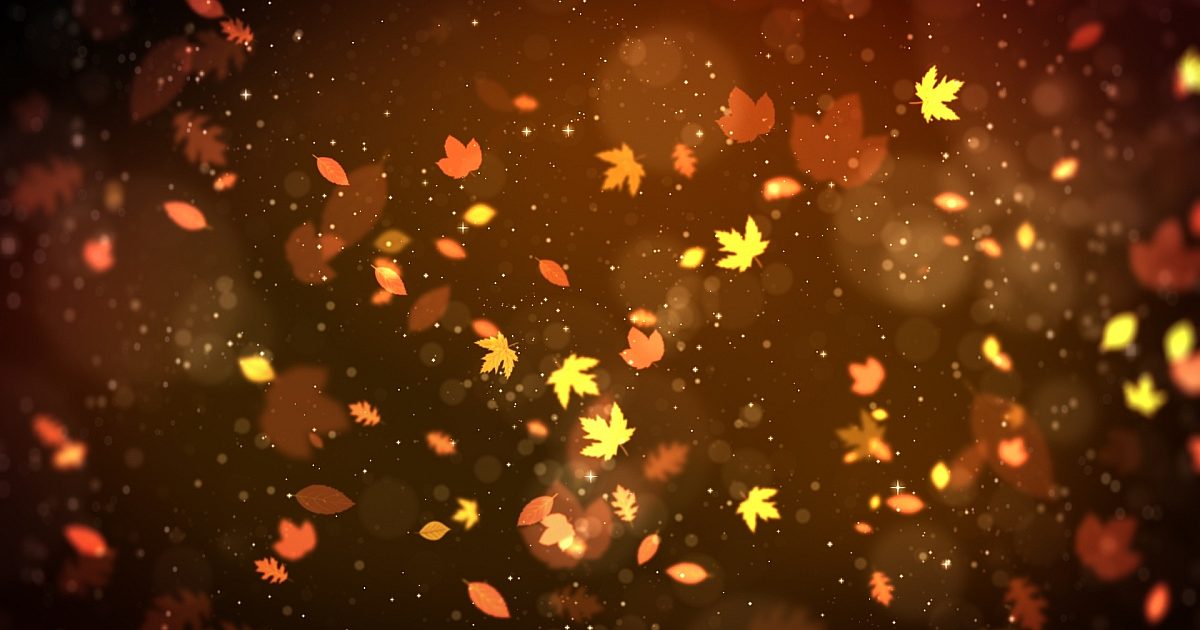 Fall Vol 1 Worship Still 06 | Still Background