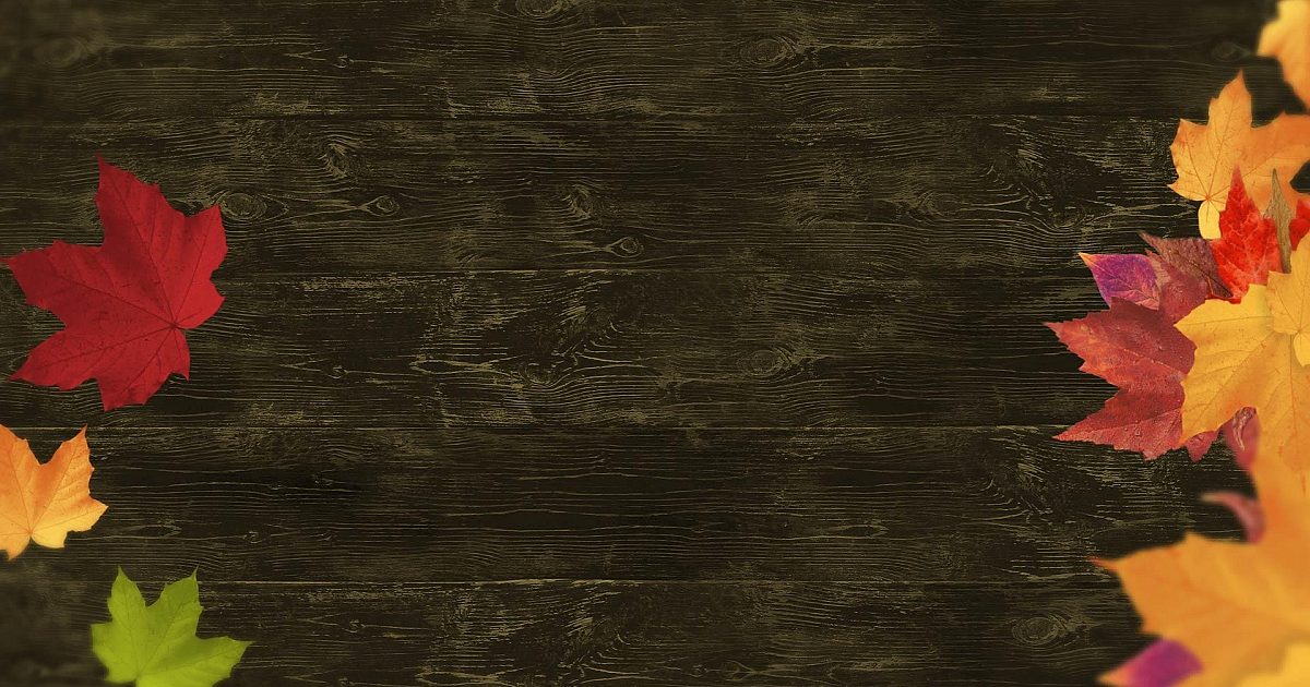 Fall Vol 2 Worship Background Still 2 | Still Background