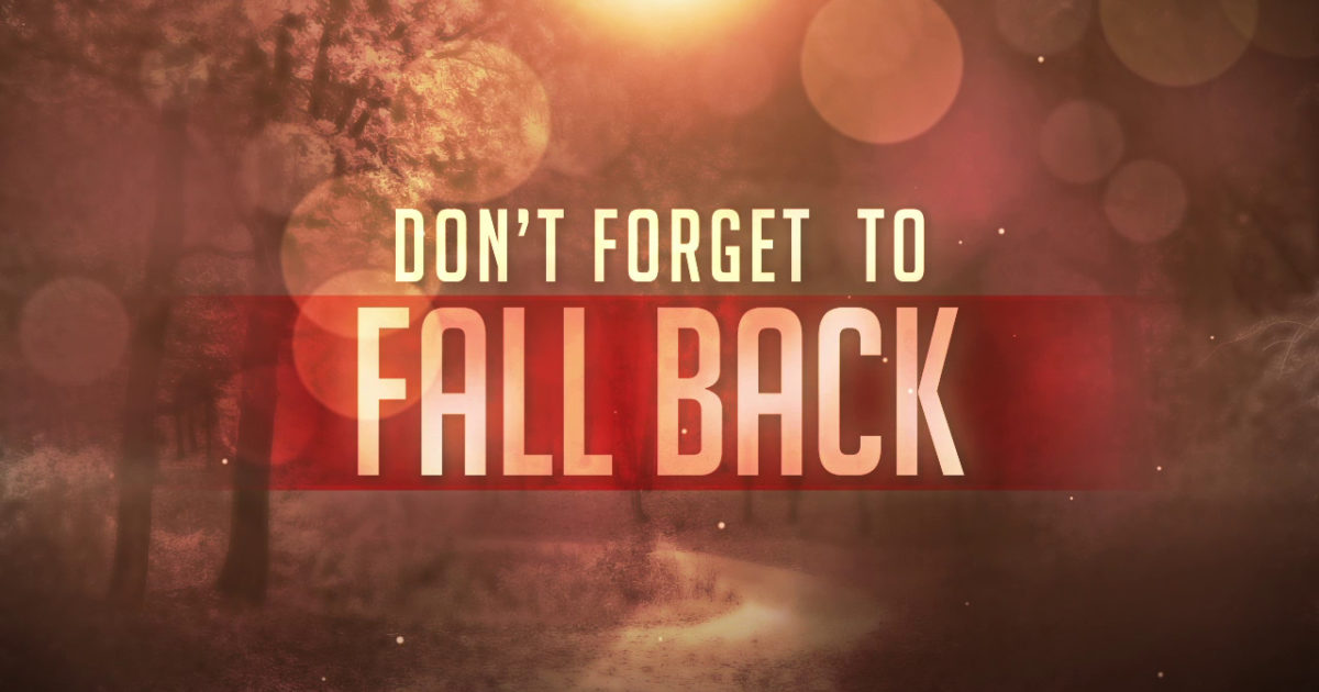 Fall Back Still Vol4 | Still Background