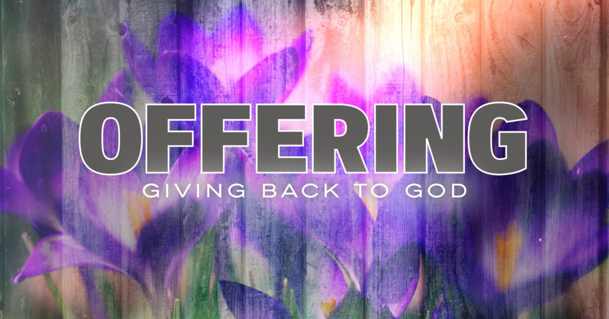Floral Fusion Offering | Still Background