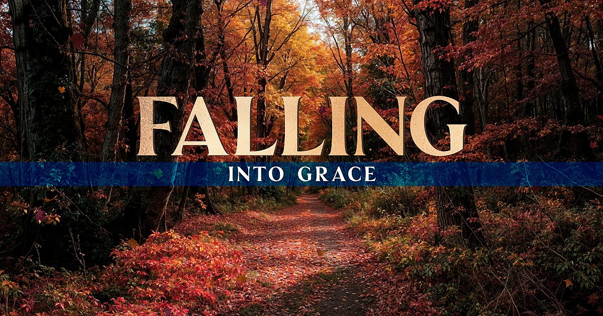 Forest Fall Falling Into Grace Still | Still Background