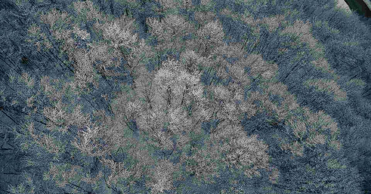 Glorious Winter 15 Still | Still Background