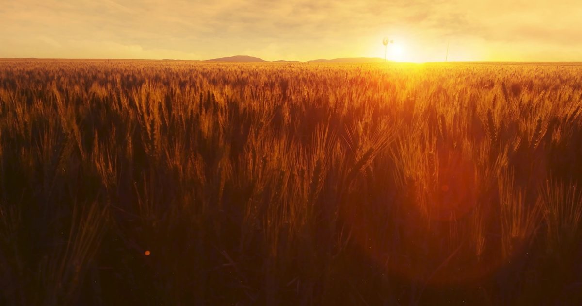 Golden Hour Sunset Still Background