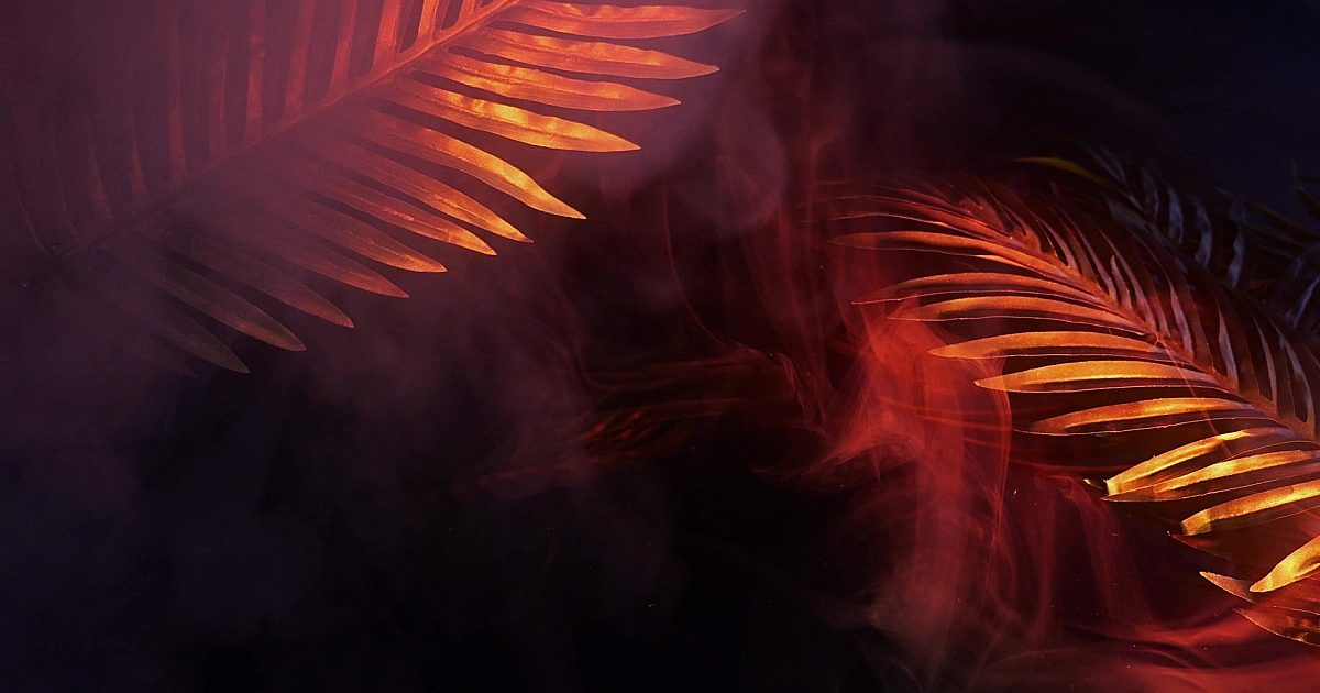 Holy Week Reflections 12 Still | Still Background