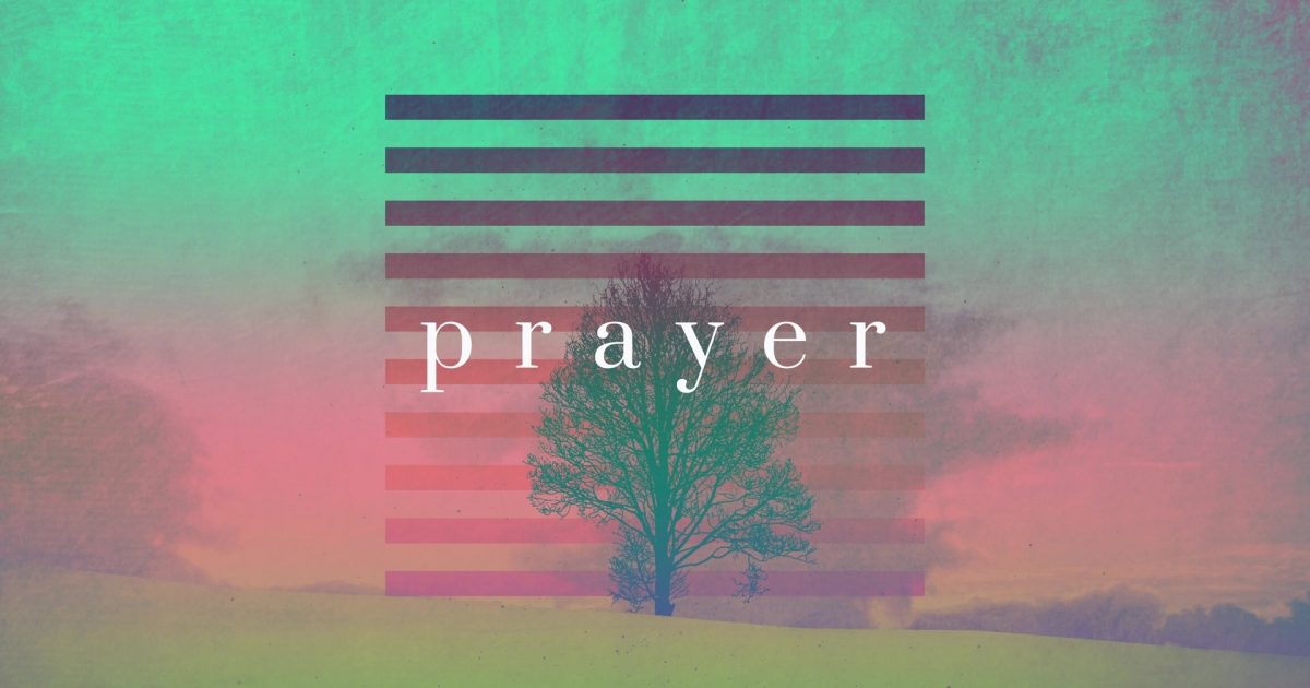 Lonely Tree Prayer Still | Still Background