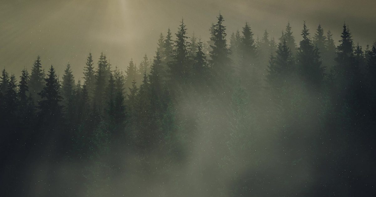 Lumberjack Dad Dusk Still | Still Background