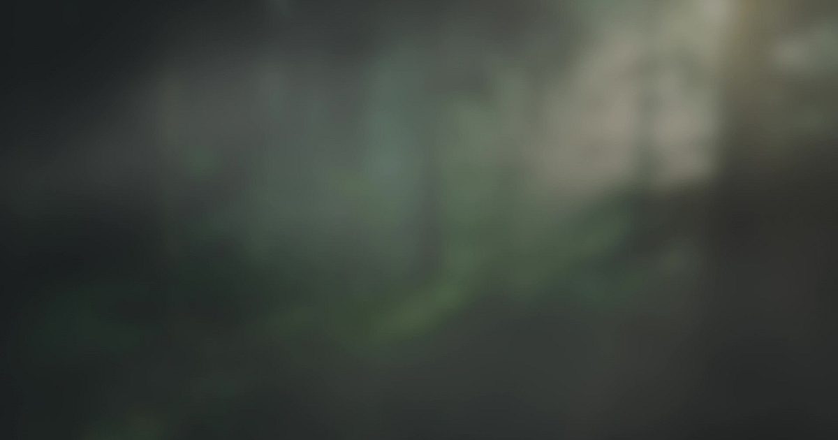 Lumberjack Dad Rays Alt Still | Still Background