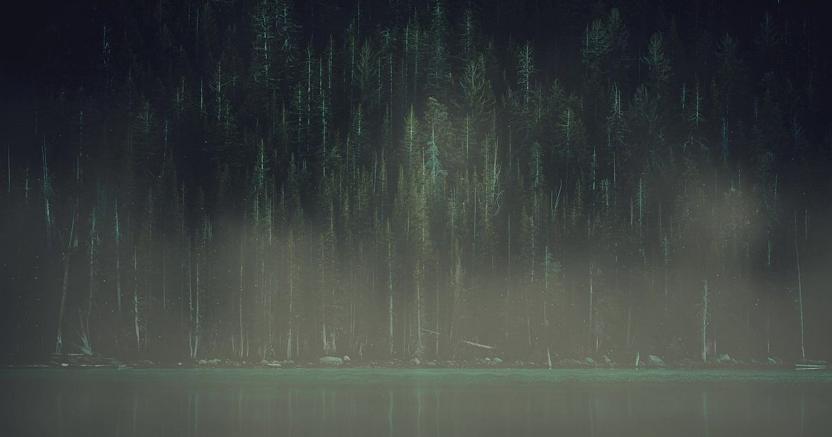 Lumberjack Dad Shoreline Still | Still Background